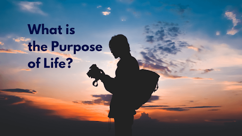 Learn What is the Purpose of Life and How to Find It | The Odyssey Online