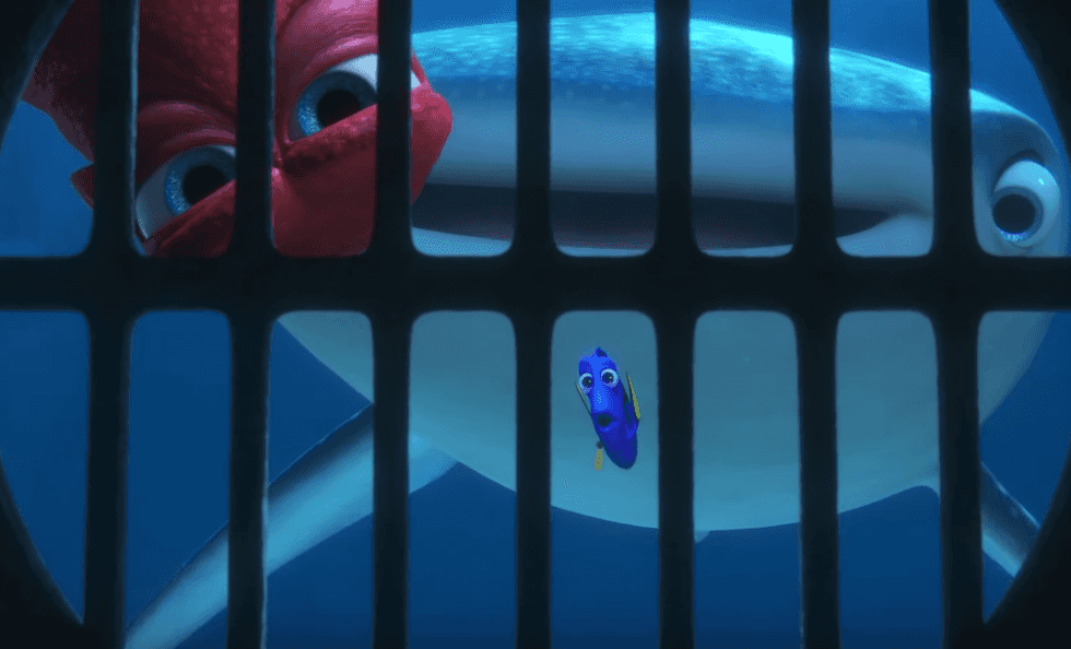 Life Lessons From Dory | The Odyssey Online