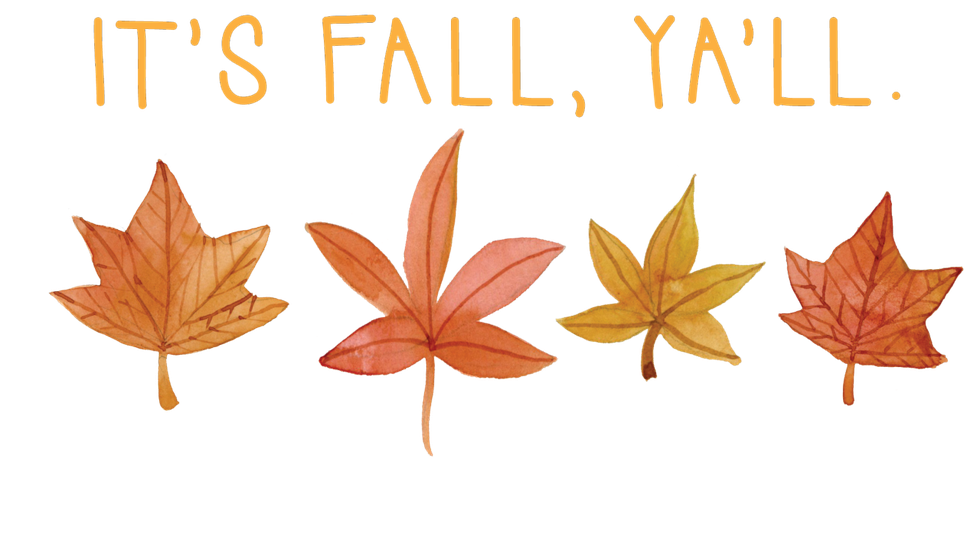 Why is Everybody Falling for Fall? | The Odyssey Online