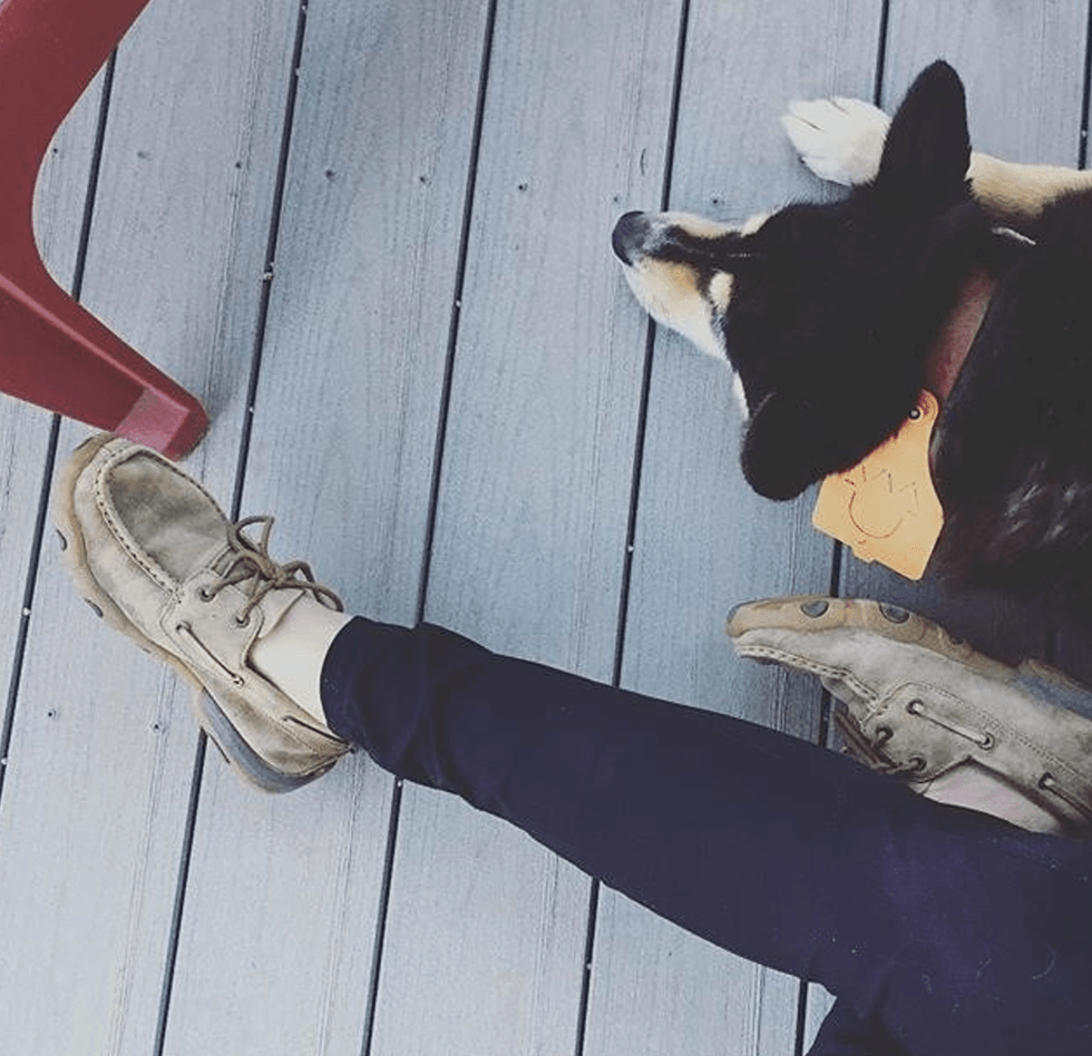 Why Twisted Xs Are Actually The Best Shoes Ever | The Odyssey Online