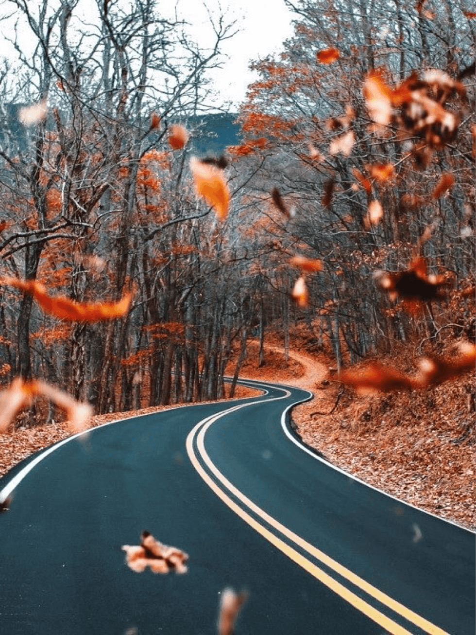 10 Reasons Why I'm Excited For Fall | The Odyssey Online