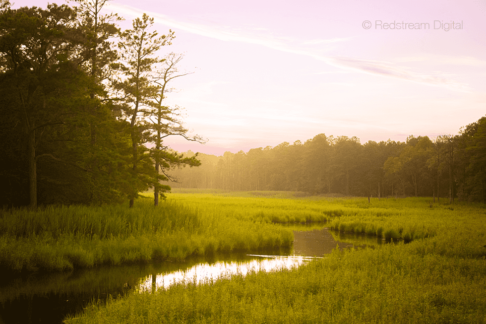 This Poem Will Help You Come To The Realization Of Yourself | The ...