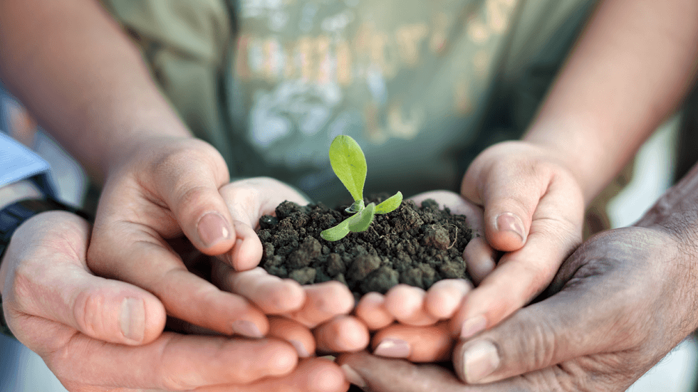 A Letter To The Future Generations | The Odyssey Online