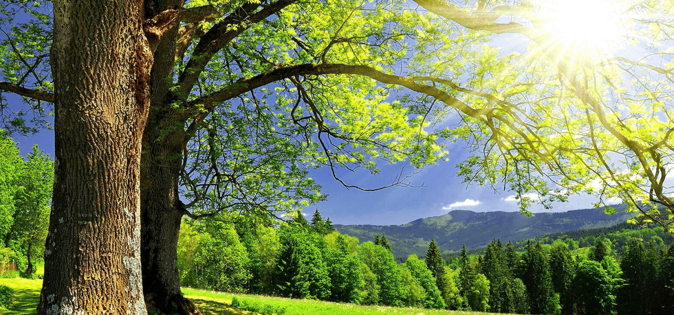 4 Ways To Have A Stress-Less Summer | The Odyssey Online