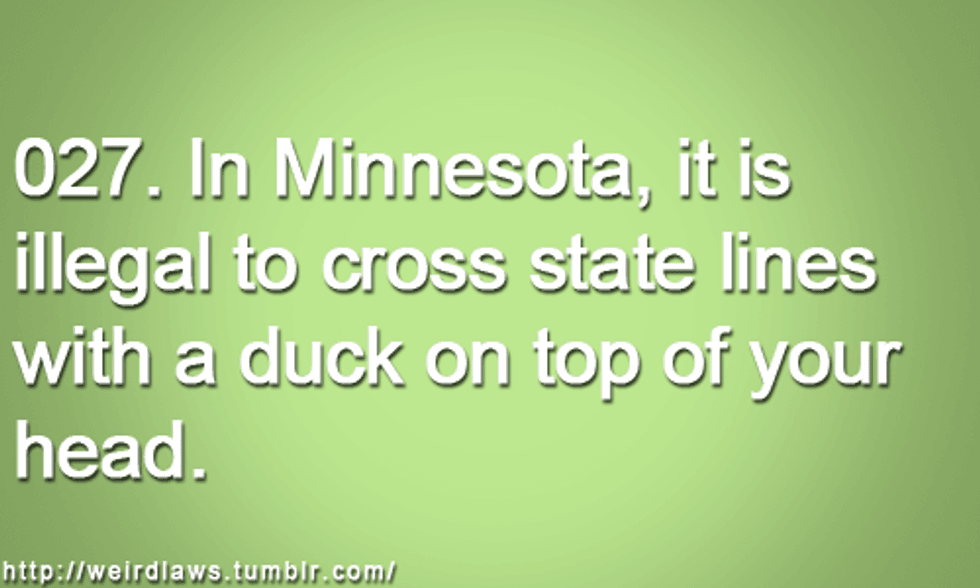 50 Weird Laws In Each State | The Odyssey Online