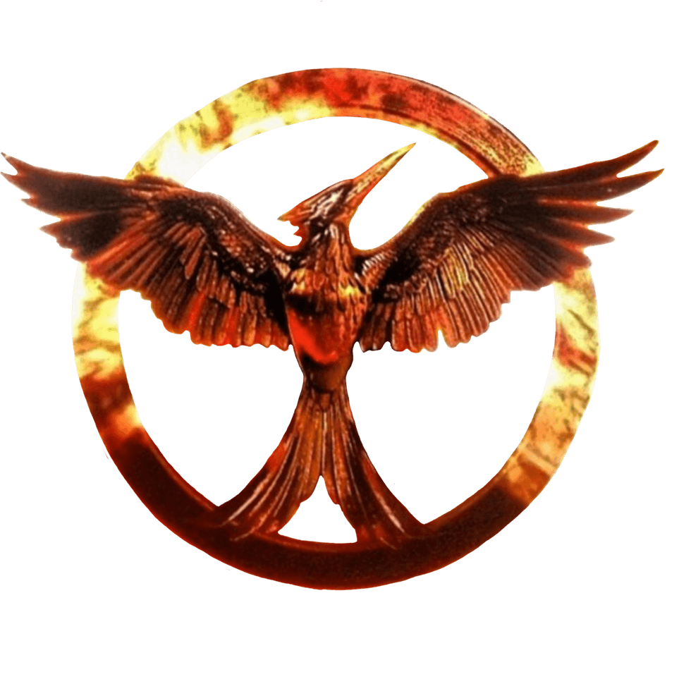 Real Life Hunger Games | The Odyssey Online