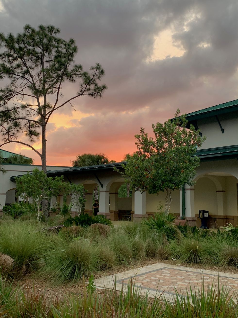 4 Reasons Florida Gulf Coast University Is A Tropical Oasis | The ...