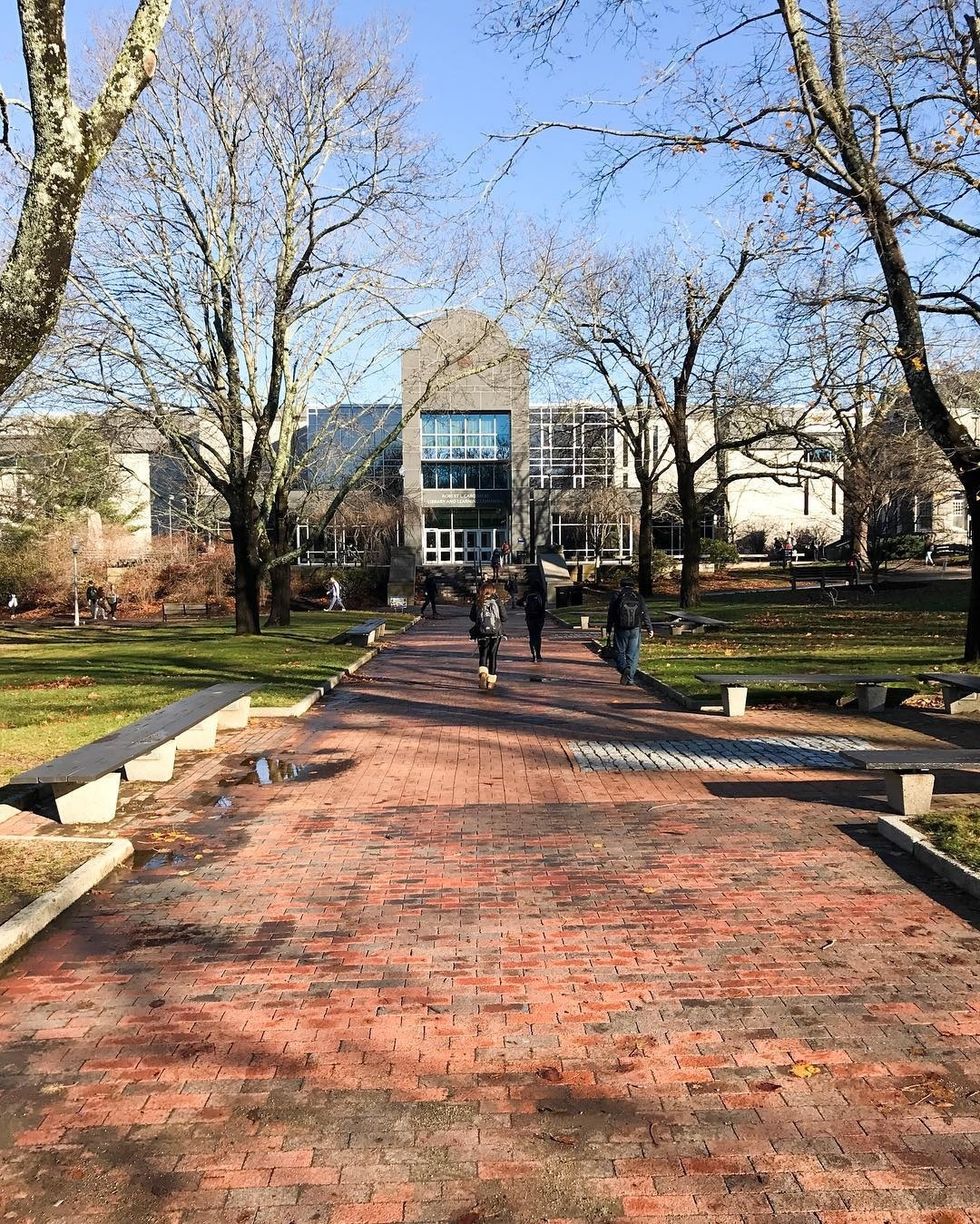 Types Of People You See At URI's Library